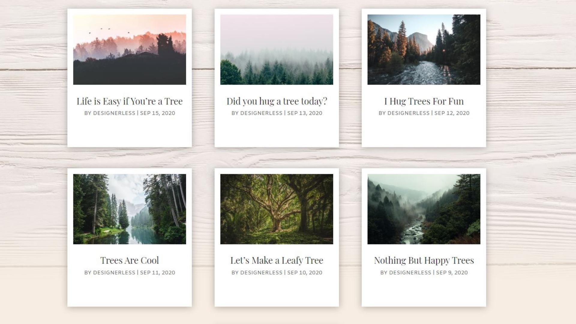 Polaroid Blog Section - Designerless