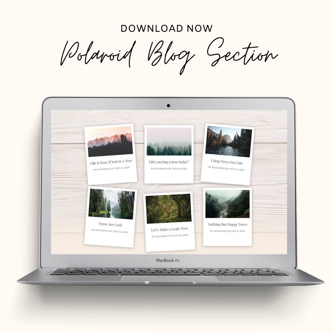 Polaroid Blog Section - Designerless